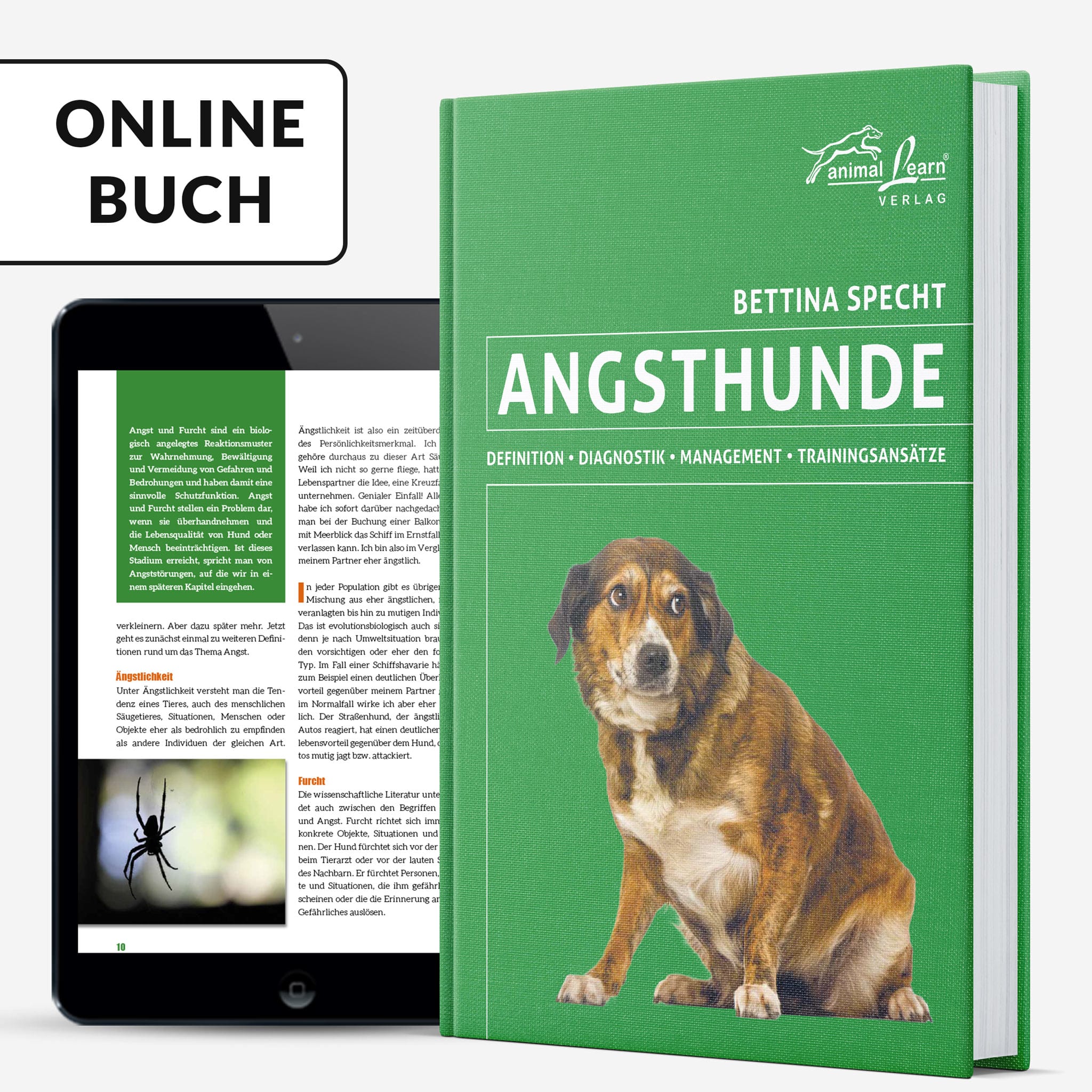 Wissenswertes - Tiere Helfen Leben